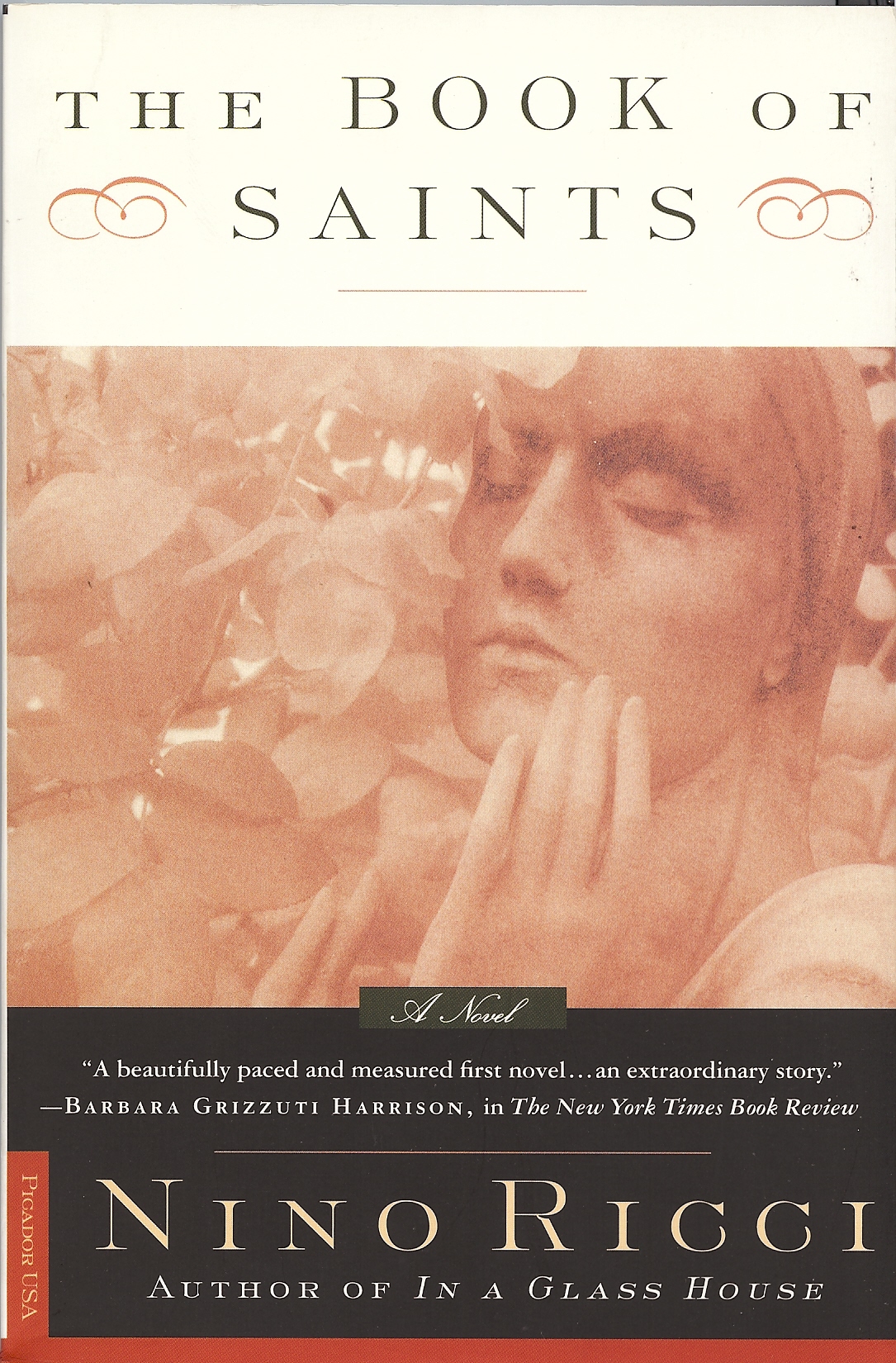 Lives of the Saints Trilogy | Nino Ricci